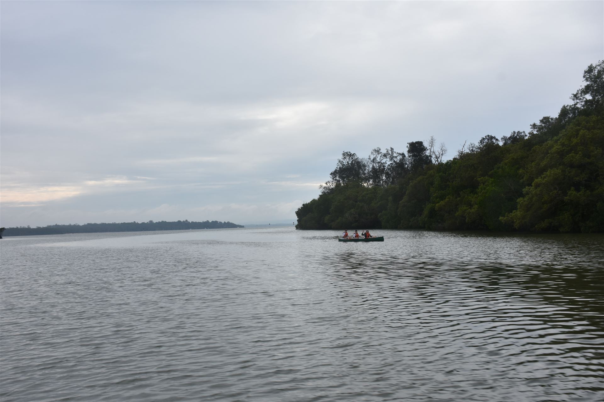 Locations Hub - Lake Cootharaba (Noosa Everglades)