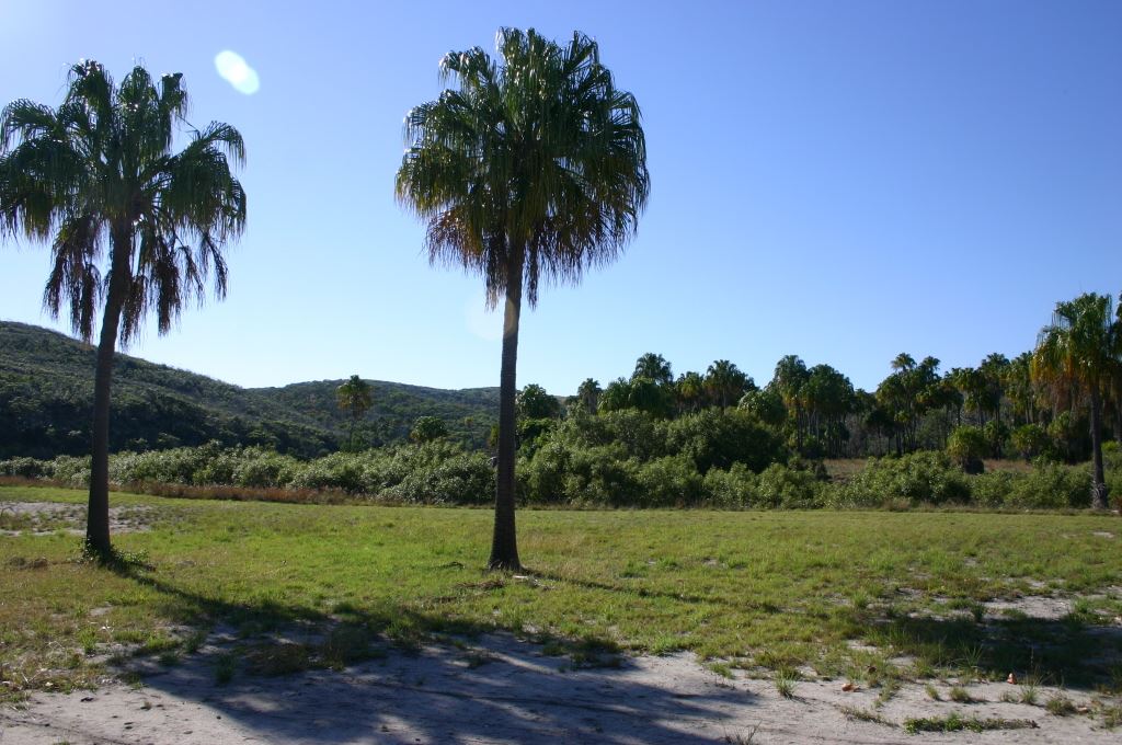 Locations Hub - North Keppel Island - Ko-no-mie - Considine Beach