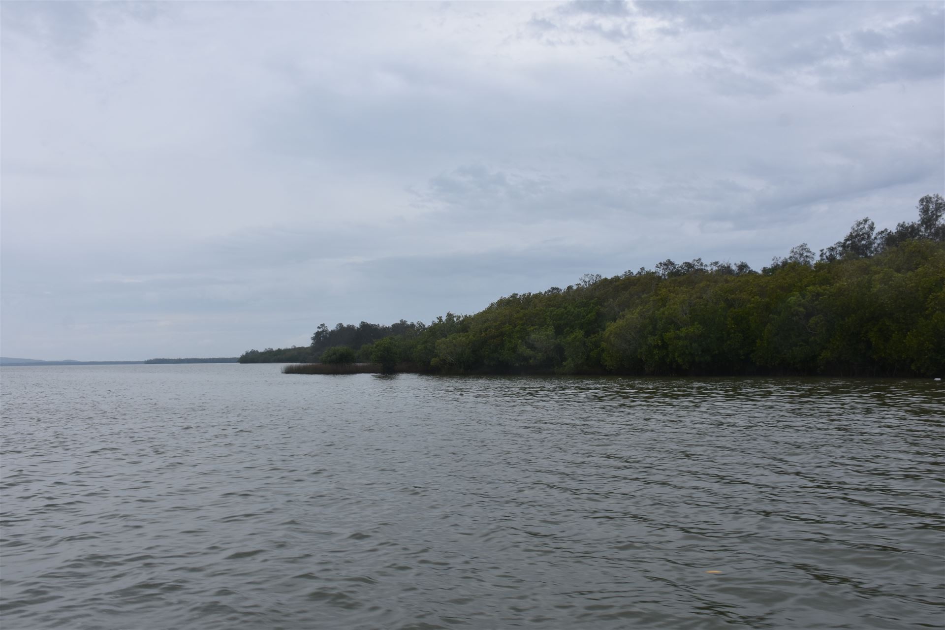 Locations Hub - Lake Cootharaba (Noosa Everglades)