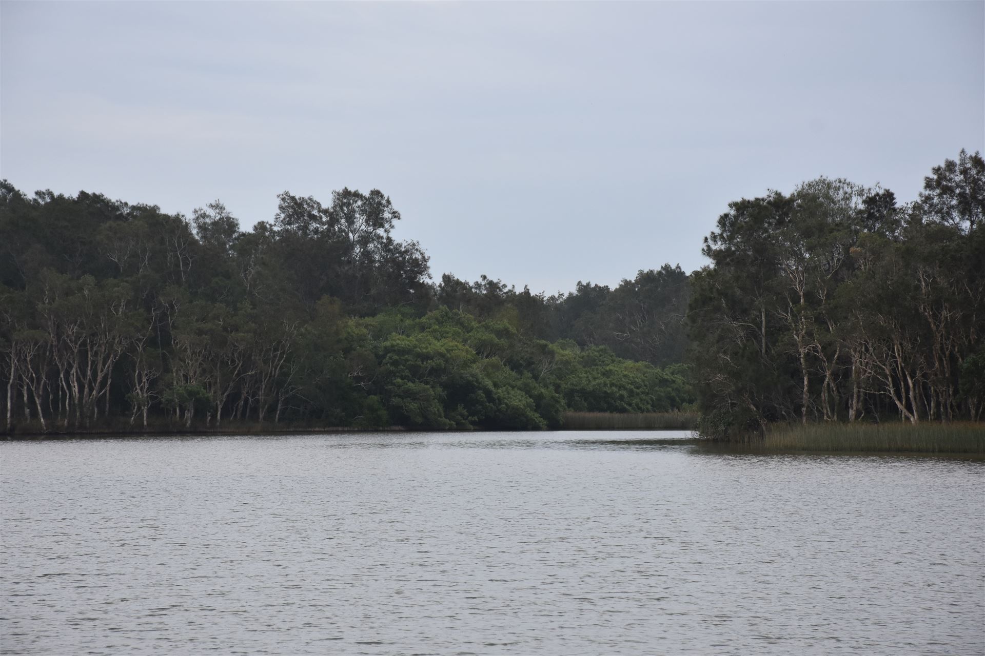 Locations Hub - Lake Cootharaba (Noosa Everglades)