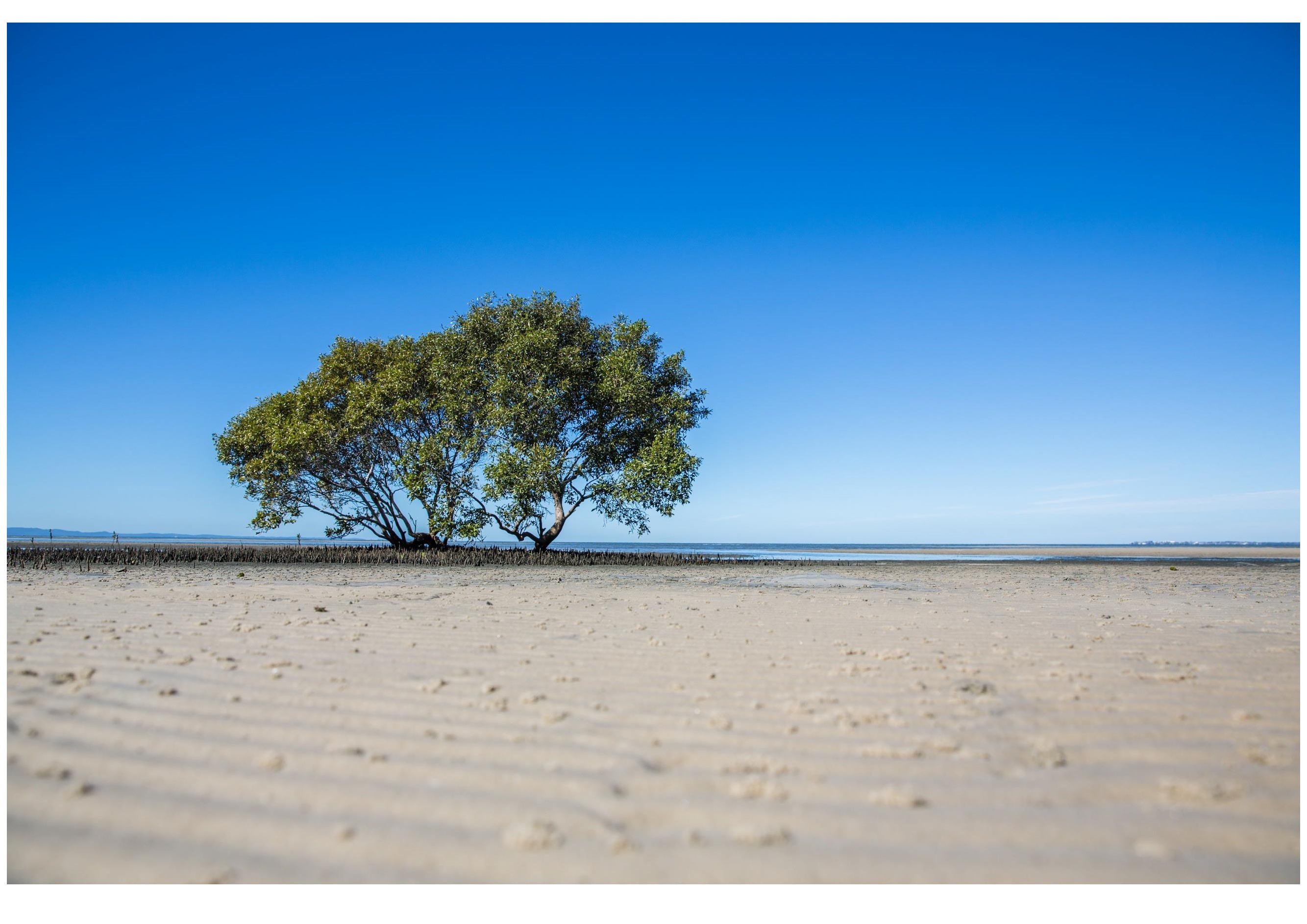 Locations Hub - Beachmere Foreshore