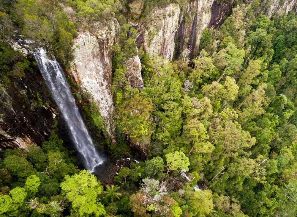 Locations Hub - Goomoolahra Falls - Springbrook NP