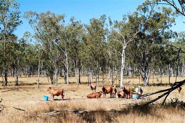 Locations Hub - Goshen Station