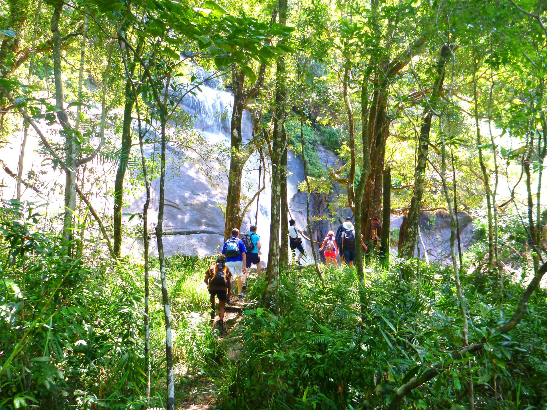 Locations Hub - Tully Gorge National Park