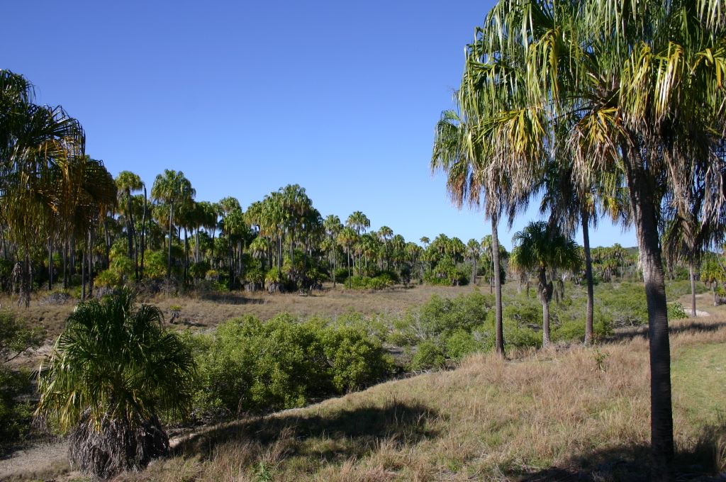 Locations Hub - North Keppel Island - Ko-no-mie - Considine Beach