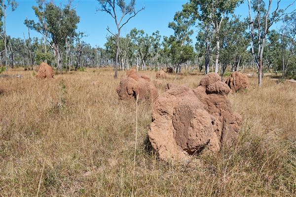 Locations Hub - Goshen Station