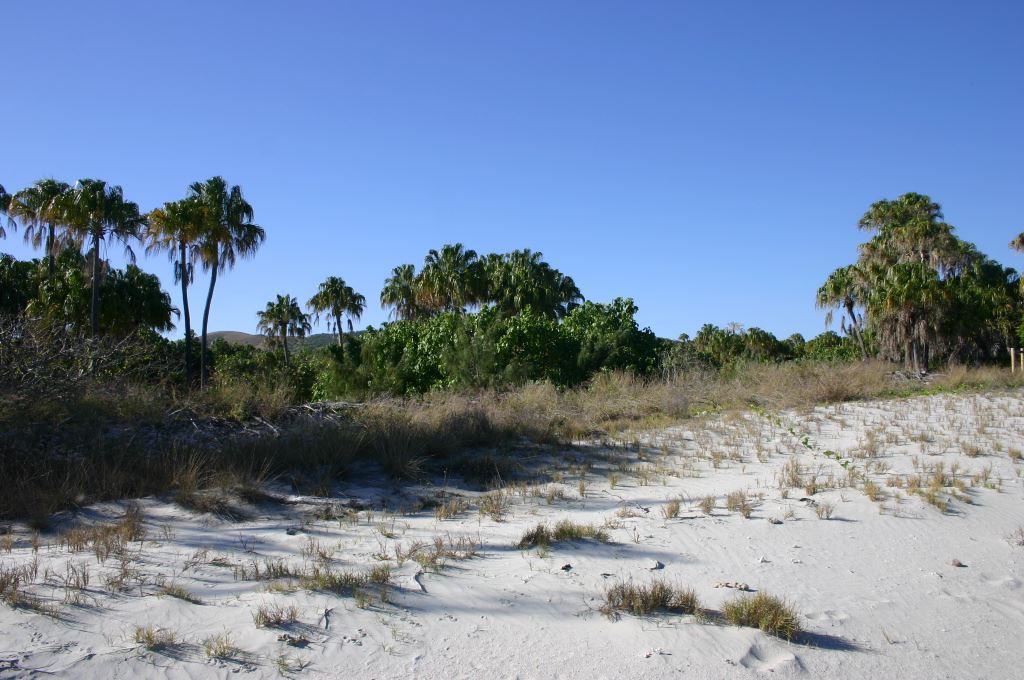 Locations Hub - North Keppel Island - Ko-no-mie - Considine Beach