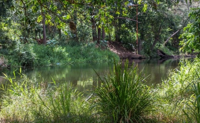 Locations Hub - Bunya River Crossing (Albany Creek)